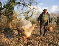 Tuscumbria: The Art of Truffle Hunting