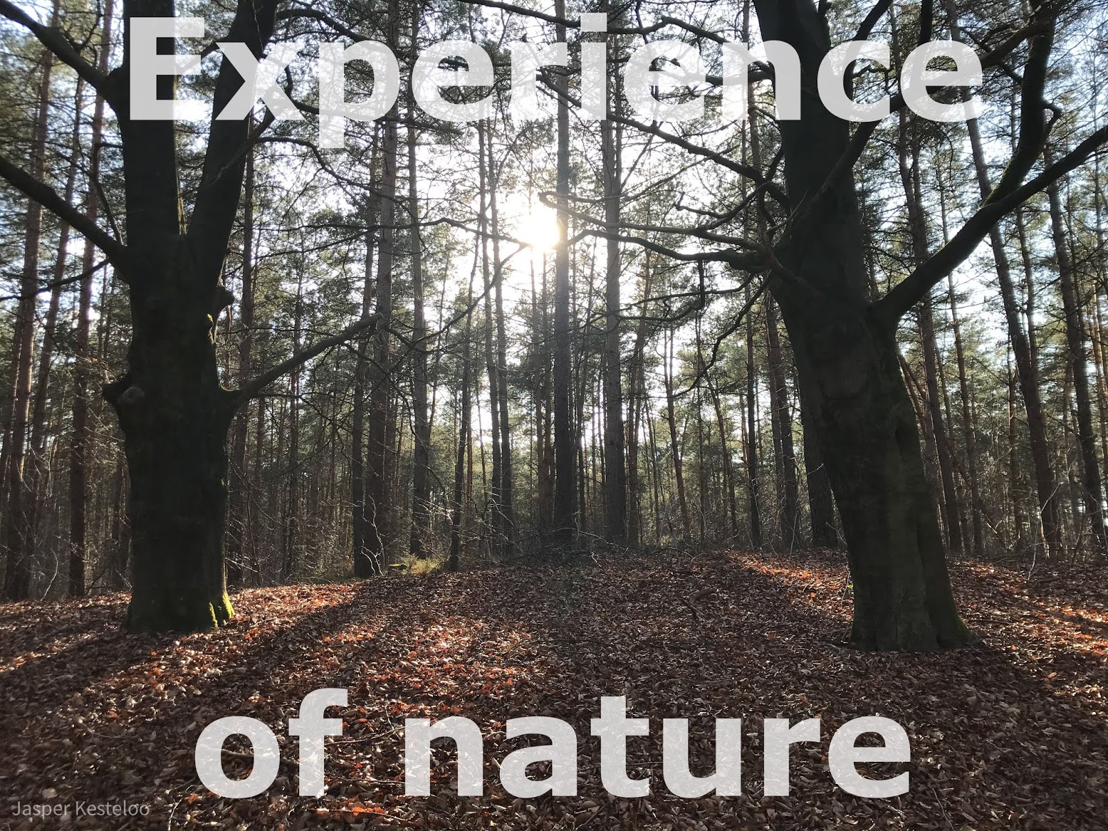 Experience of Nature | Poetry of Light - Voyages of Light