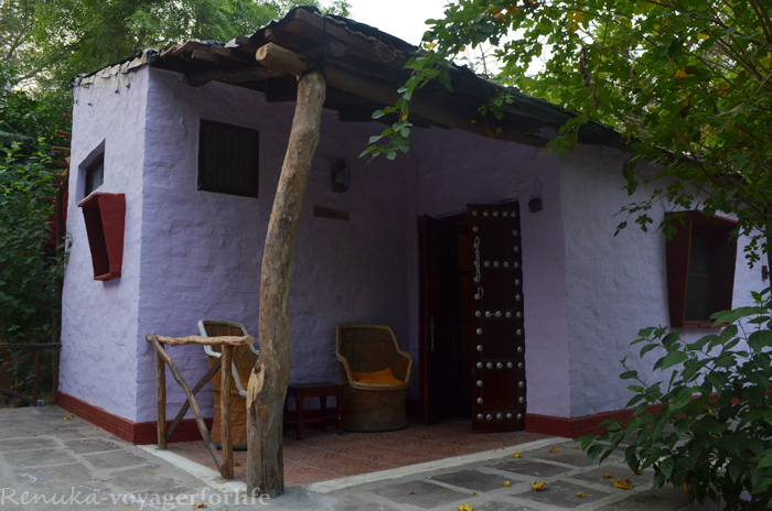 Why I Loved Being In Agra And Lucknow - Voyager For Life