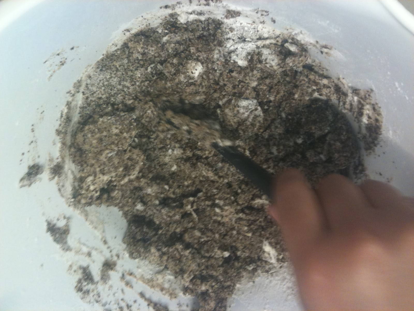 Treasure Rocks(!) - SSSTeaching