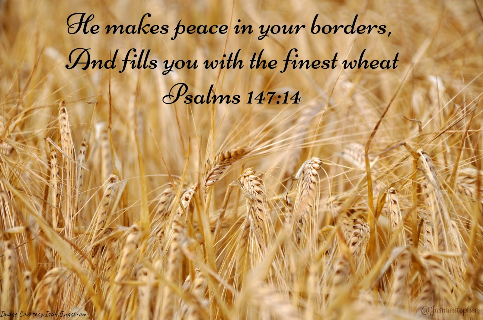 Psalms 147 14 psalms-147-14