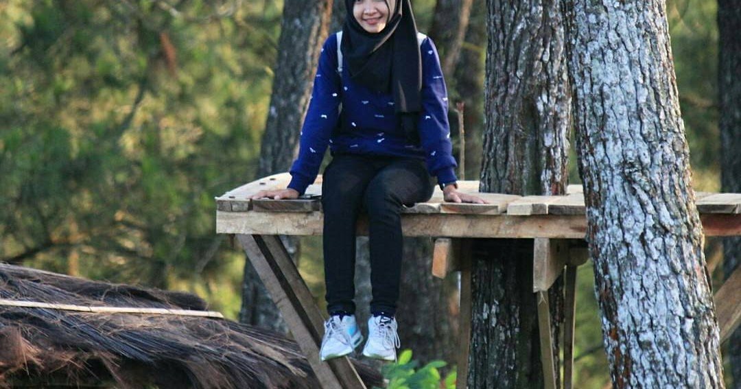 Wisata Alam Hutan Pinus Kalilo Purworejo Yang Menjadi Primadona Baru ...