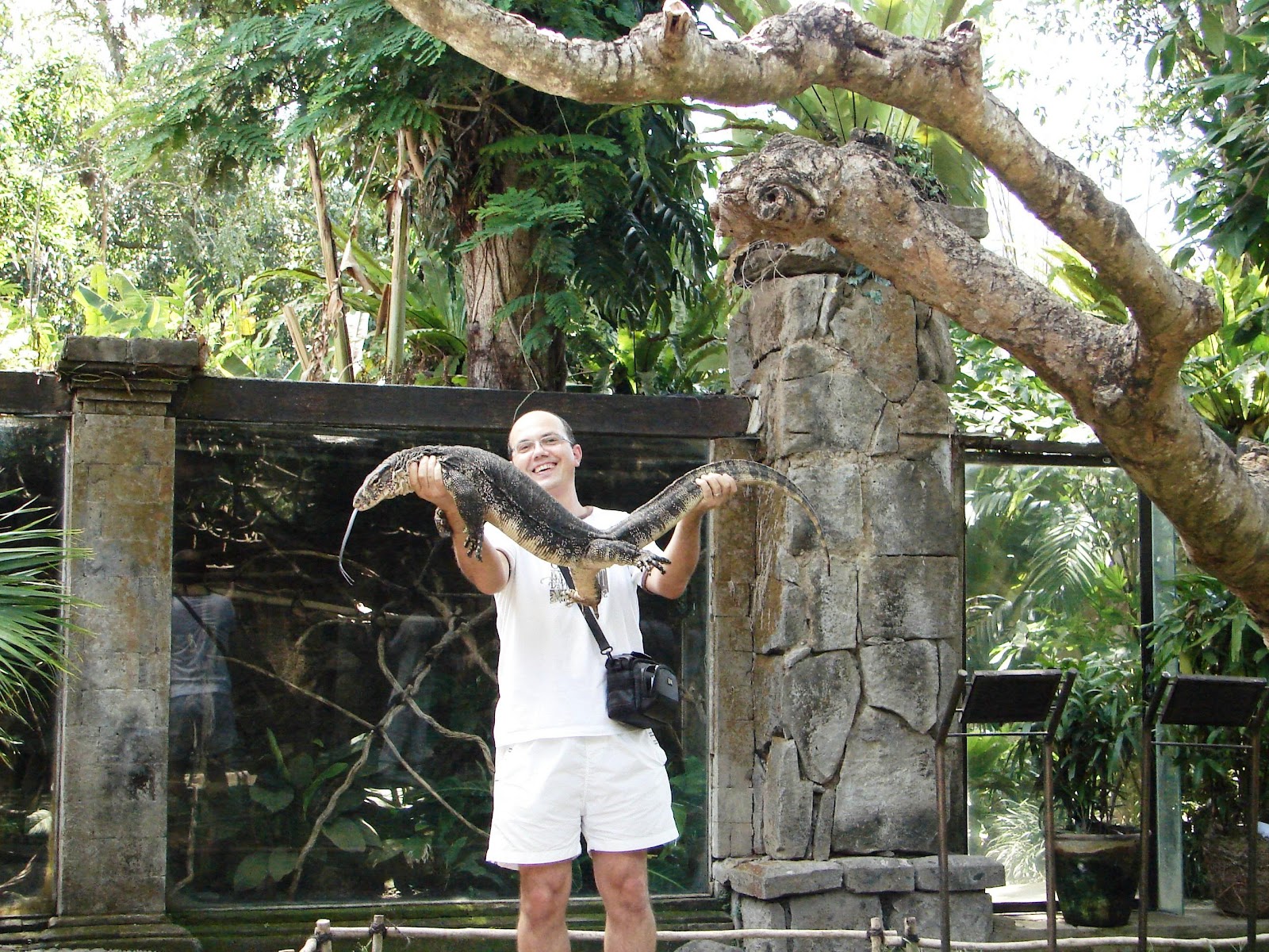 ABC...prin viata: Poze de la Valea Pasarilor, Valea Reptilelor si Zoo ...