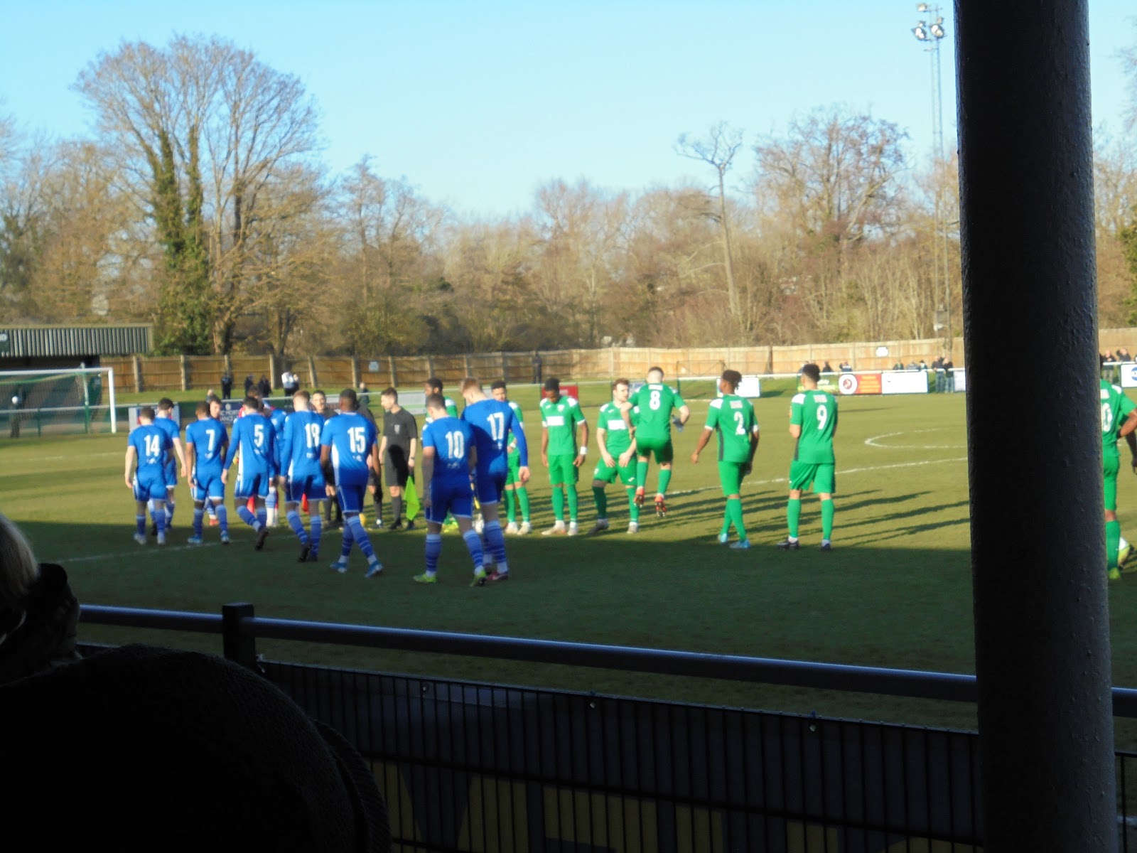 The Tortoise Travels: Leatherhead - Fetcham Grove