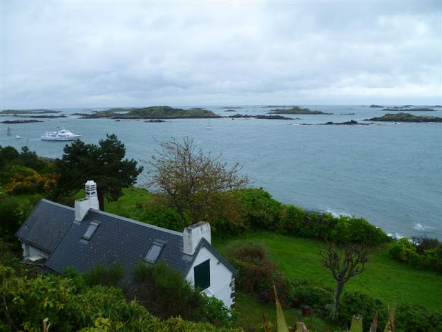 Guernsey Gulls: A Quick Trip to the French Channel Islands – Chausey!