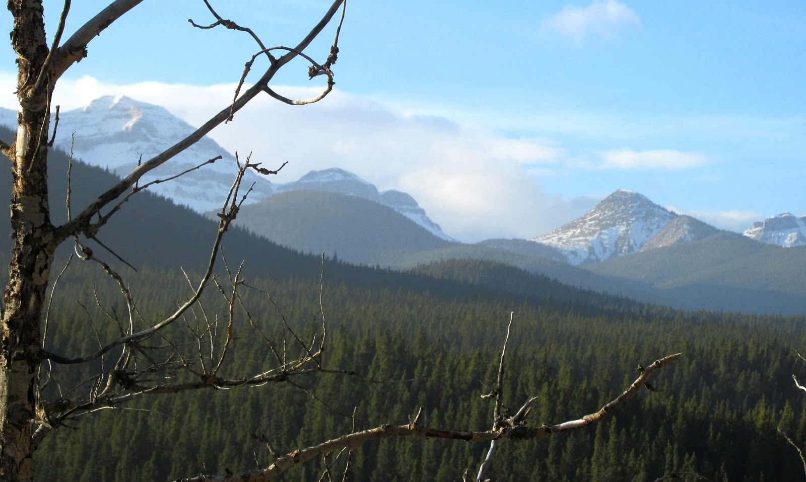 The Passionate Hiker: South Volcano Ridge