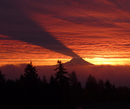 Gurney Journey: Mountain Shadows