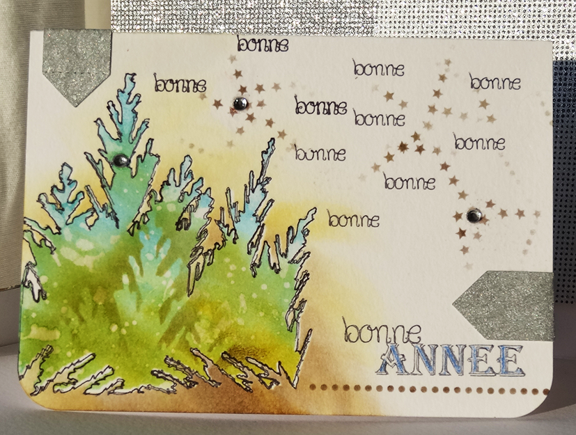 Une Nouvelle Carte Du Nitassinan Pour Apprendre Lhistoire Innue