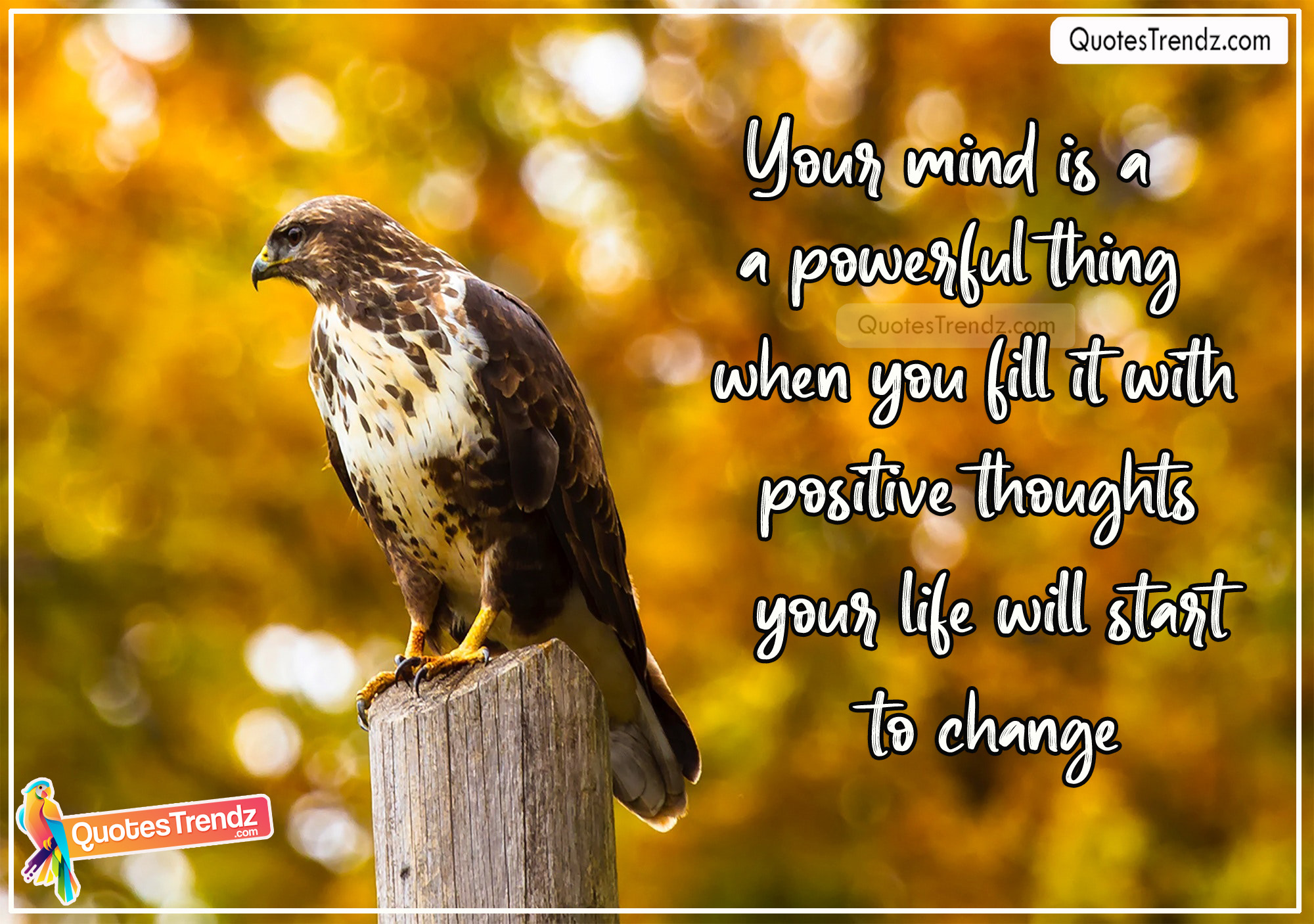 Motivational Quotes About Life motivational-quotes-about-life