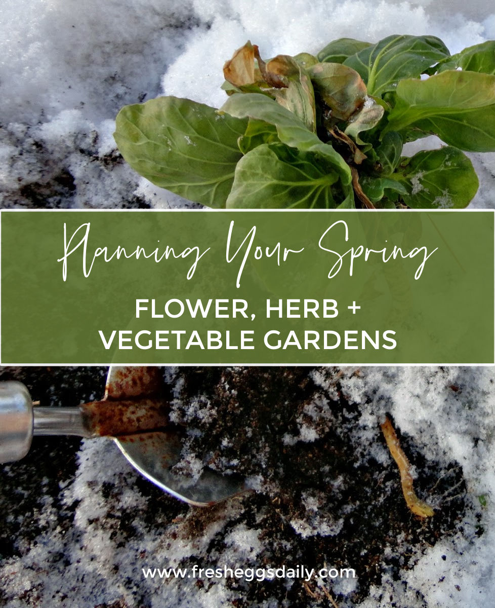Planning your Spring Flower, Herb and Vegetable Gardens - Fresh Eggs ...