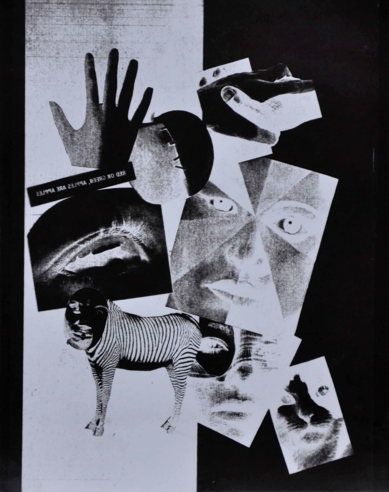 La Cabina Fotográfica: ¿Qué son los Fotogramas?