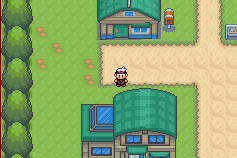 Pokemon Purple Version (Portuguese/GBA)