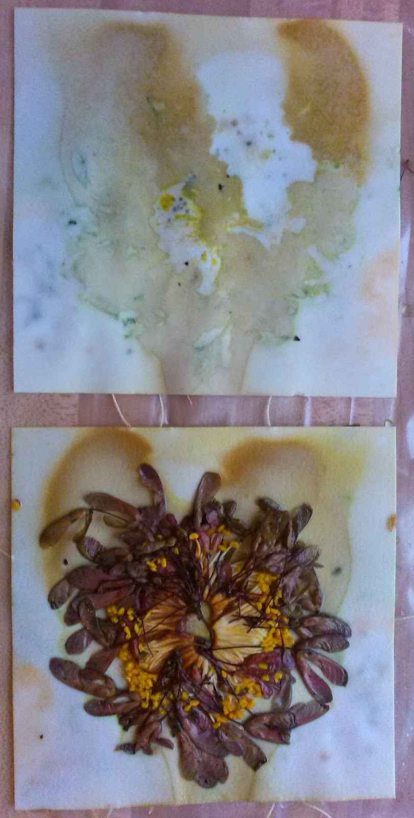 Naturally Dyed Paper: Working in Layers.