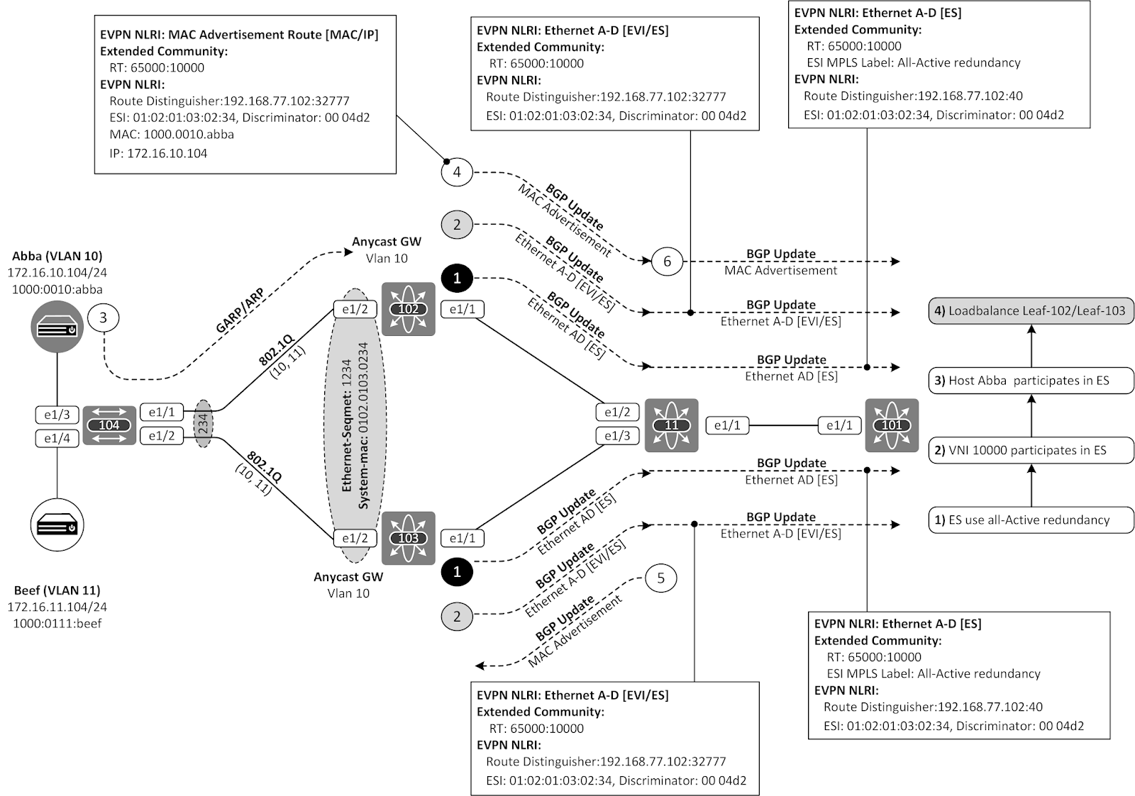 The Network Times: EVPN ESI Multihoming- Part II: Fast Convergence and ...