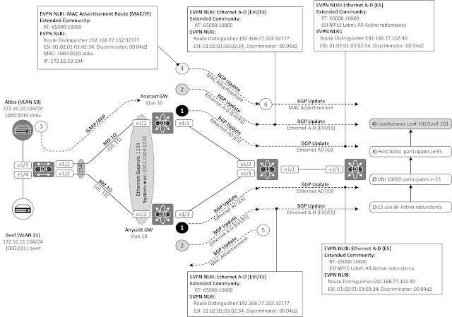 The Network Times: EVPN ESI Multihoming- Part II: Fast Convergence and Load Balancing