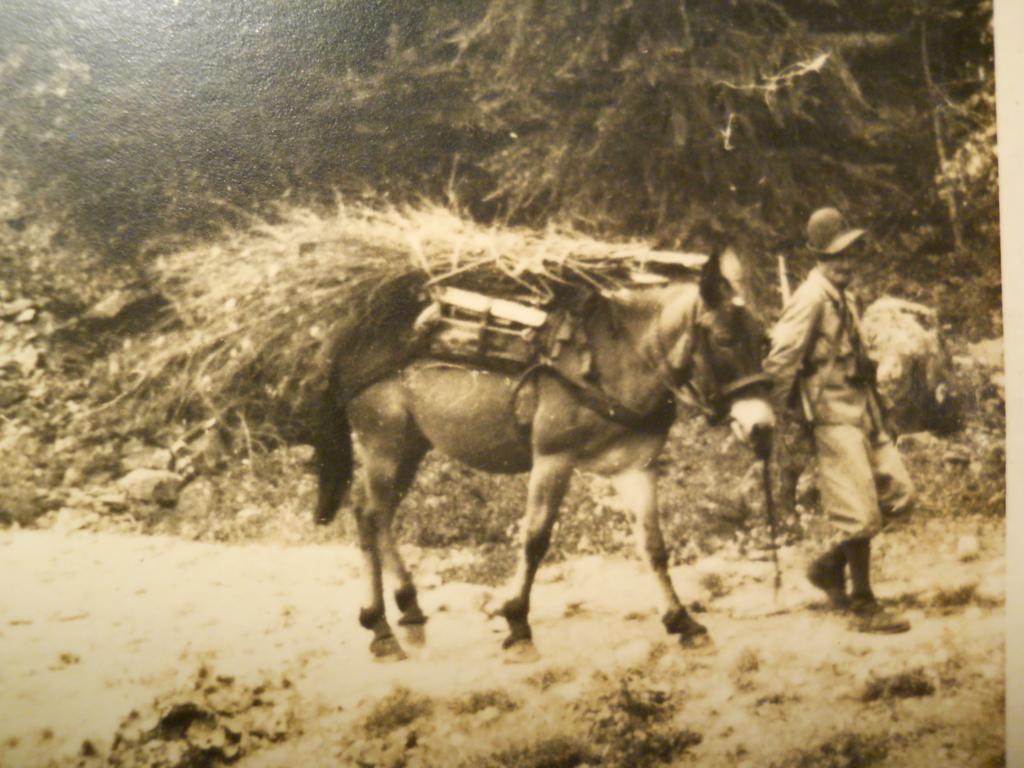 WW2 Militaria Collection: Italian ww2 Alpini soldiers 7x photographs ...