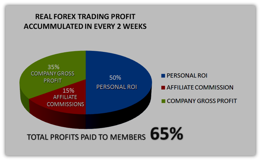 Trade Wealth: โครงสร้างการกระจายผลกำไร (profit distribution structure)