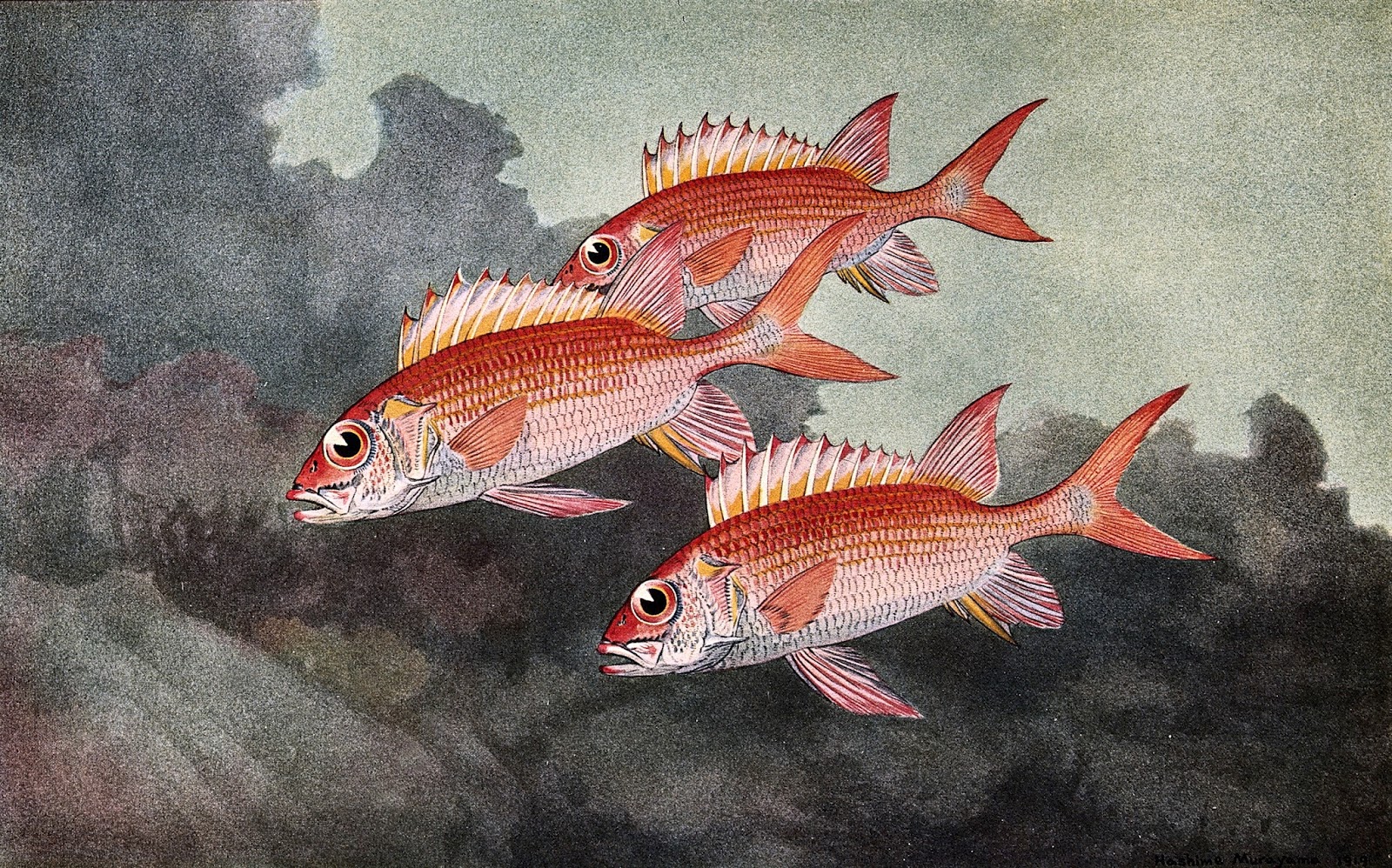 Week 10 Extra Credit Storytelling: The Three Fishes