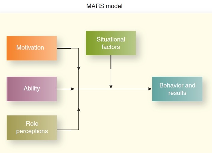 People and Organization - MN7181