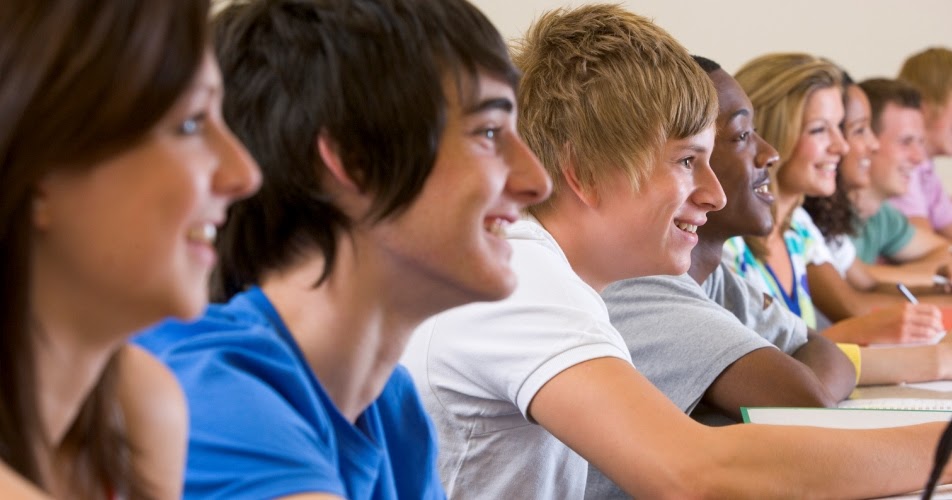 NRS 493 Topic 1 Individual Success Plan (ISP) GCU