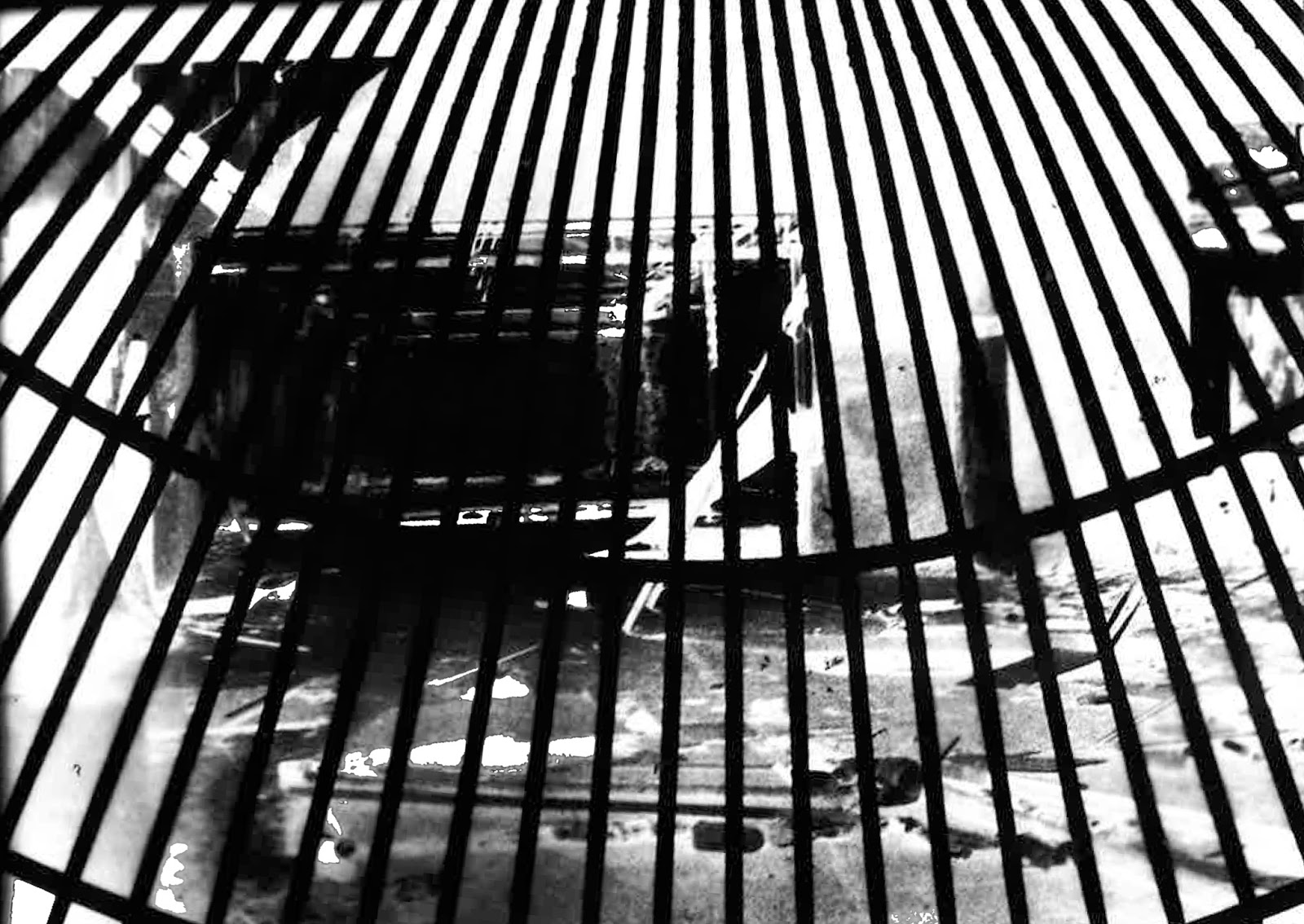 Lauren Carr: Dark Room Experiments.