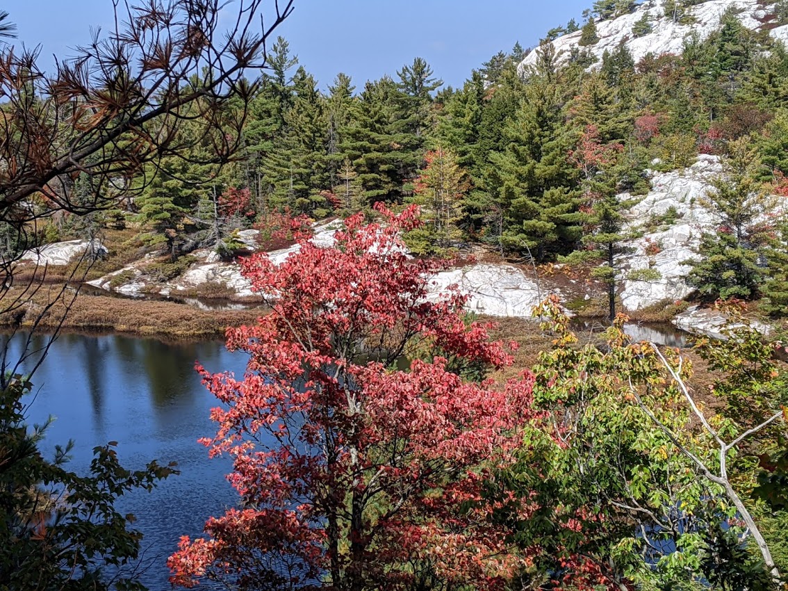 Uidumõtteid ja juhtumisi: Killarney 3 - Gulch Hill ja OSA Lake (18km)