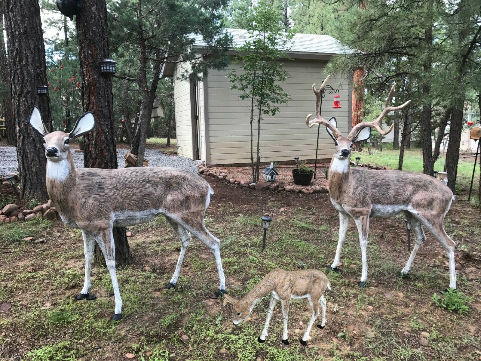 Halušky: CRAZY APES: FAKE DEER IN THE COUNTRY