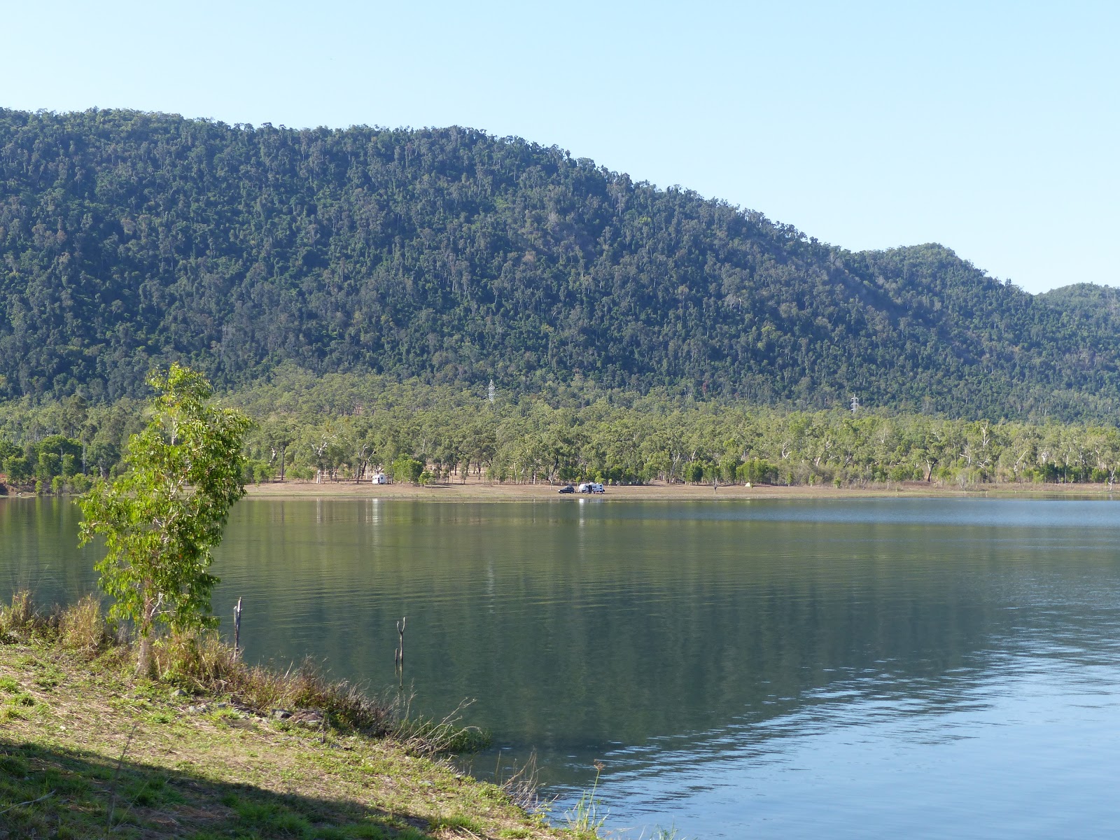 The Wandering Tops: 2019