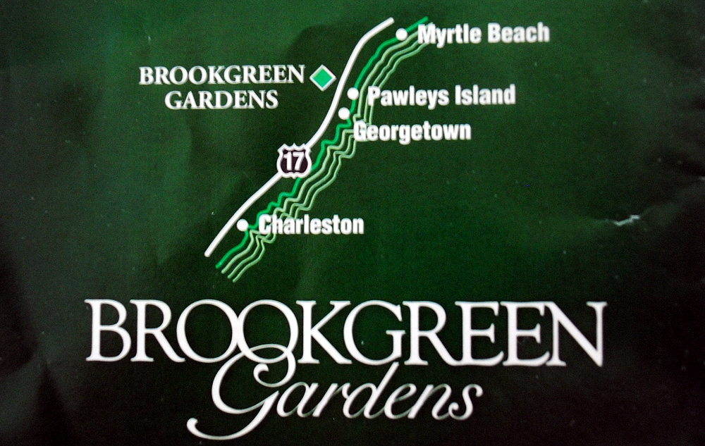 NANCY and BILL: Happy Easter - Sunday - April 24, 2011