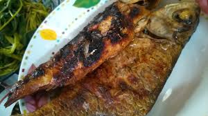 JENIS IKAN DI MALYSIA: IKAN TENGALAN 9