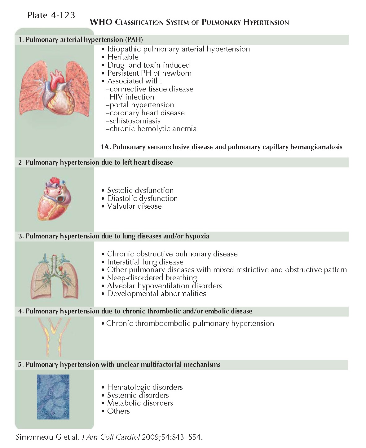 PULMONARY HYPERTENSION - pediagenosis