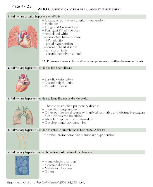 PULMONARY HYPERTENSION - pediagenosis