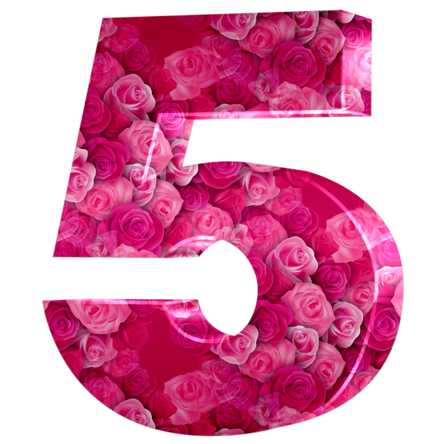 Monica Michielin Alphabets: PINK ROSES SEAMLESS ALPHABET, NUMBERS AND ...