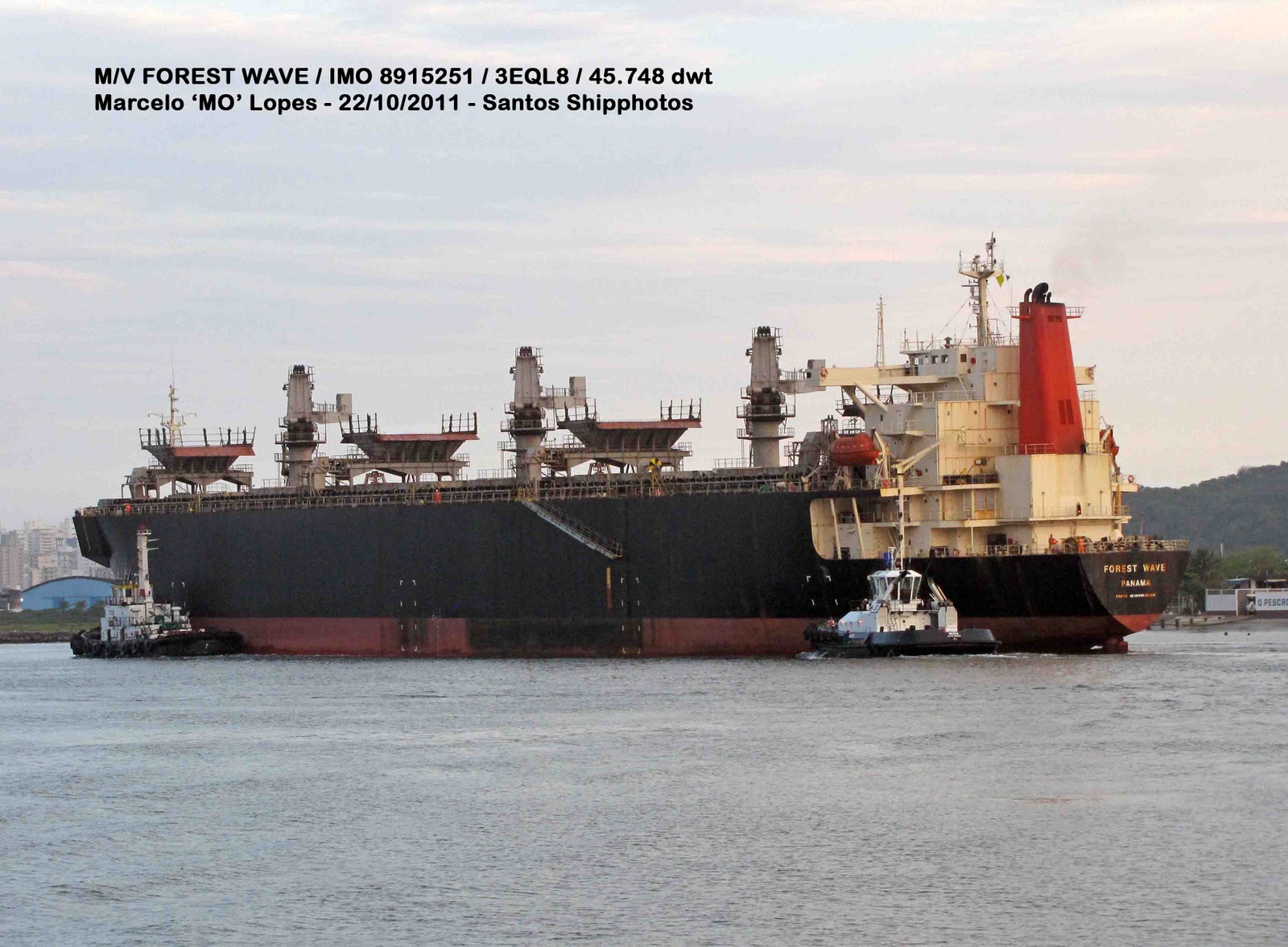 Santos Shiplovers: M/V Forest Wave / 3EQL8 - Um Wood Chip Carrier