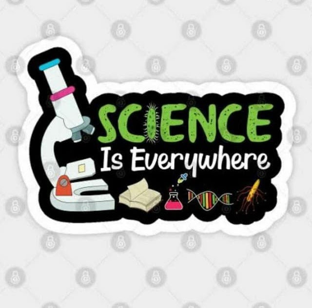 SCIENCE IS EVERYWHERE: WE CHOSE OUR PROJECT LOGO