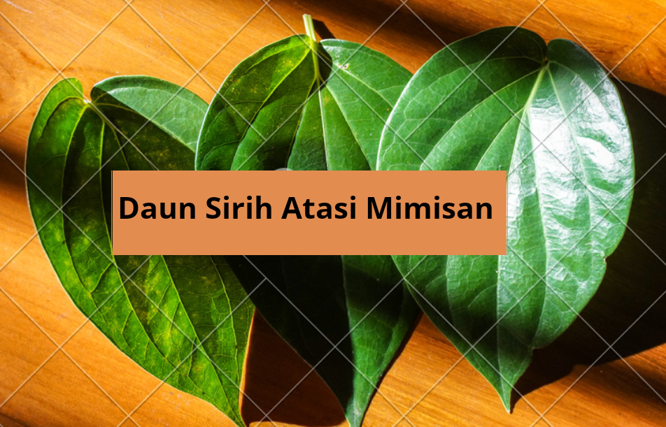 Cara Atasi Mimisan Dengan Daun Sirih - Hasbundoya Cara Atasi Mimisan Dengan Daun Sirih - Hasbundoya