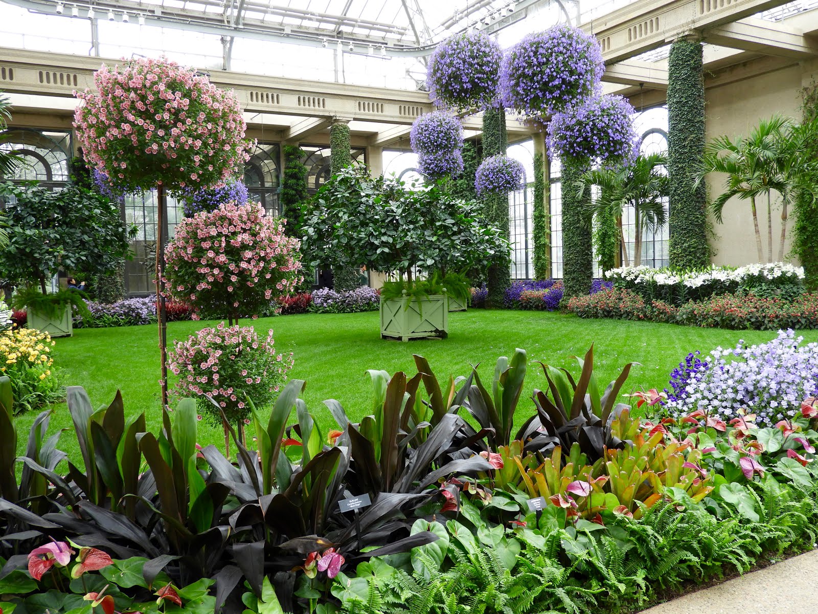 It's All About Purple: Longwood Gardens - Part II