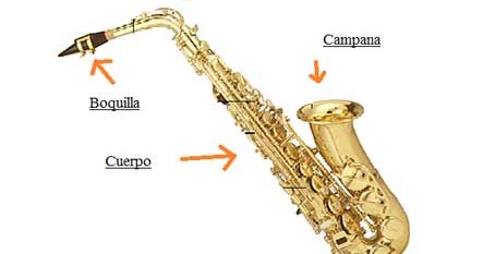 MÚSICA E INSTRUMENTOS: ¿QUÉ ES EL SAXOFÓN? Y SUS PARTES