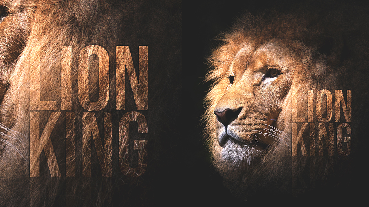 Lion King Make A Movie Poster Design In Photoshop Zanuara lion-king-make-a-movie-poster-design-in-photoshop-zanuara