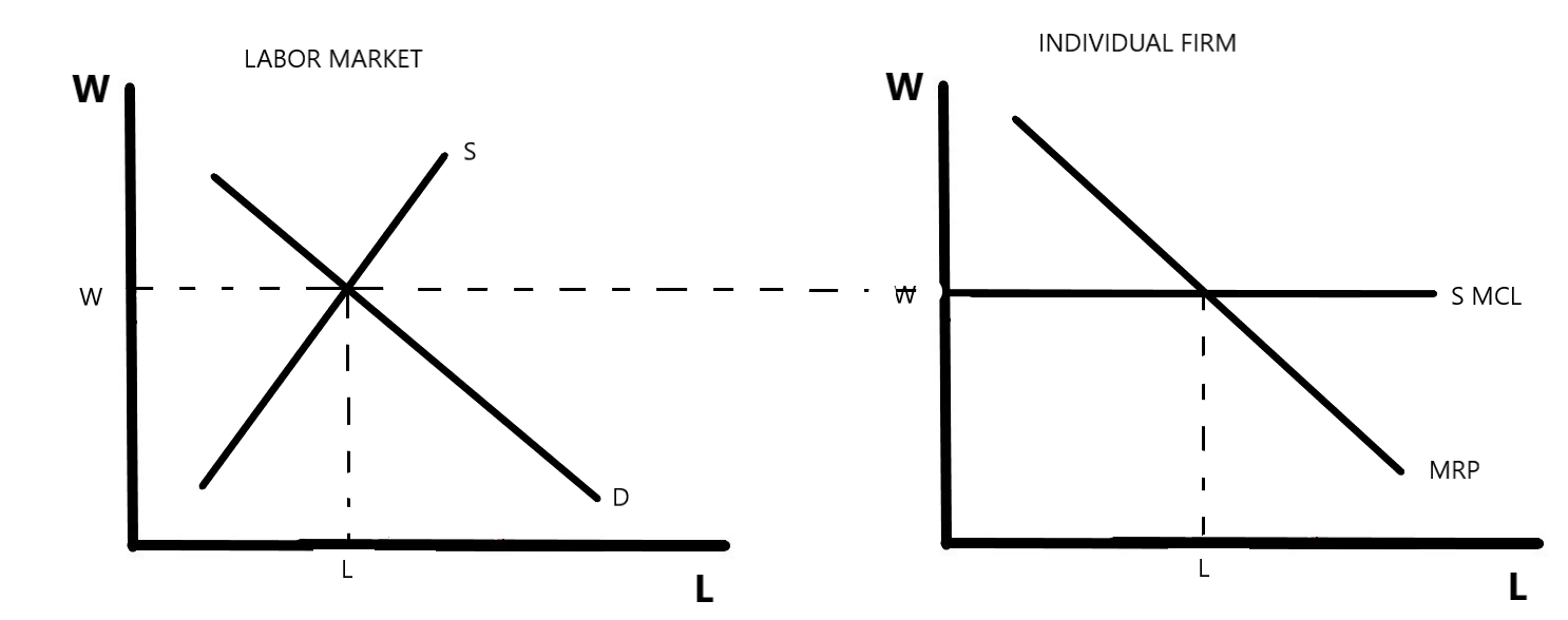 Baumann AP Microeconomics: May 2020