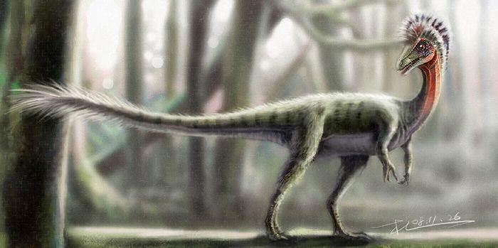 a mesozoic field guide: Compsognathus