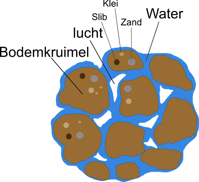 Waarom hou ik van regenwormen?