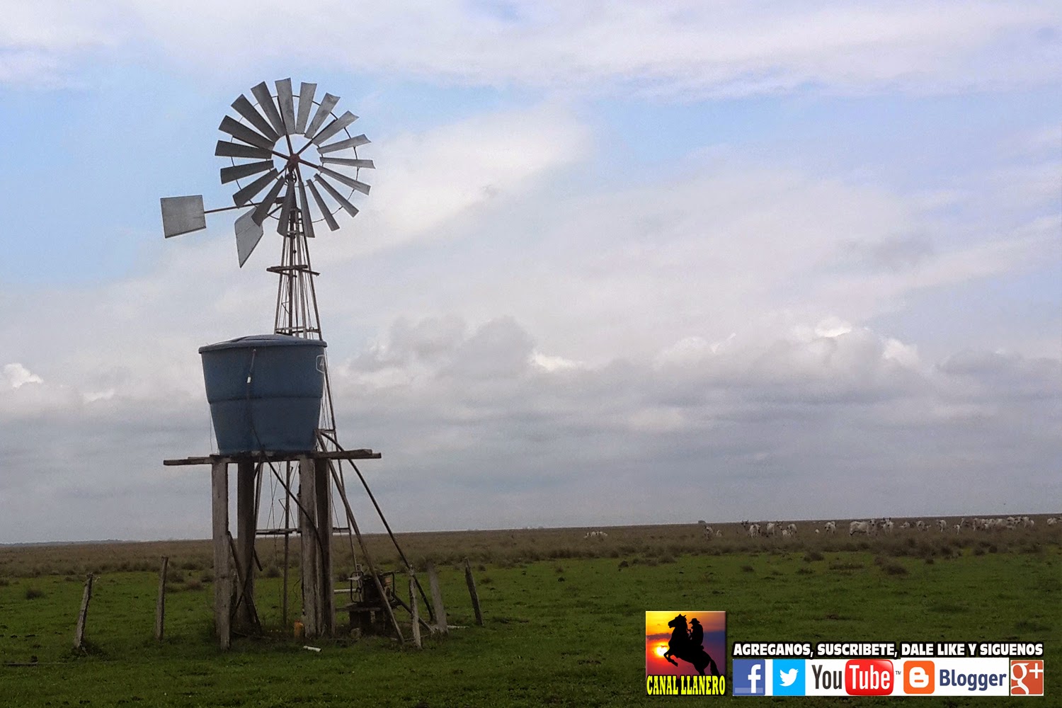 Canal Llanero : MOLINOS DE VIENTO