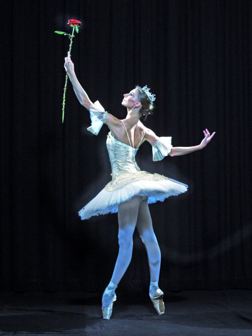 El arte de Danzar: El ballet ♥