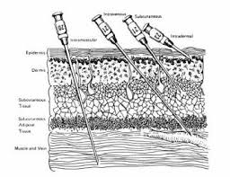 My Advanture My Pharmacy : macam-macam pemberian sediaan obat