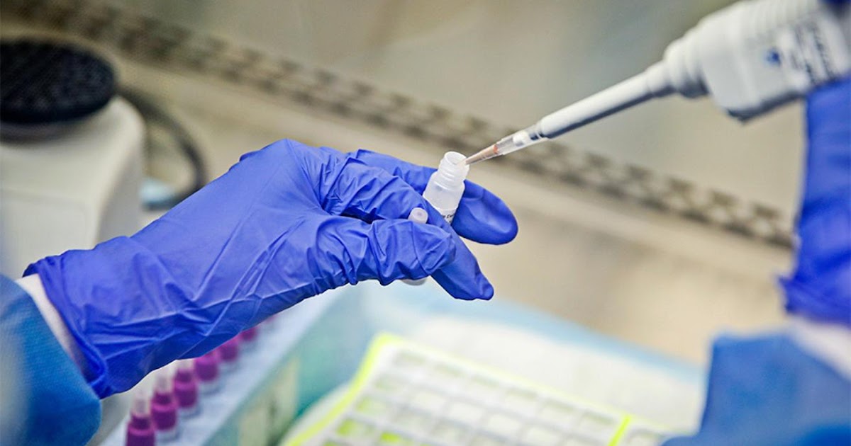 Argentina entre los países que menos test hace en la región - MUNDO NORTE Argentina entre los países que menos test hace en la región - MUNDO NORTE
