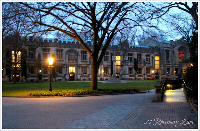 21 Rosemary Lane: Fabulous Princeton Univeristy