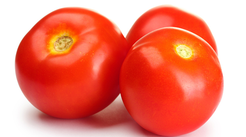 ANPP Animales y Plantas de Perú: El Tomate - Solanum lycopersicum