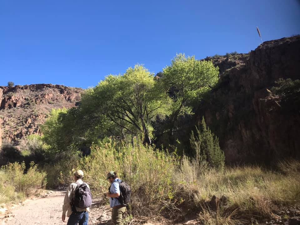 Southern New Mexico Explorer: North Fork Palomas Creek, lower box ...