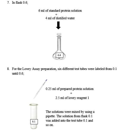 biochemistry: Practical 2 : Protein Experiment